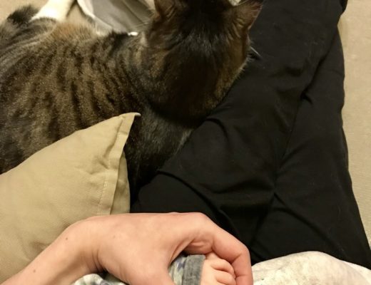 Et voilà il marche ! - Strawberries