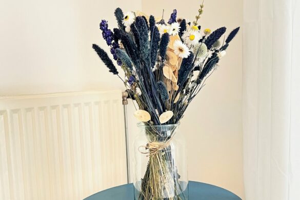 Entretenir et Bouturer de la Misère : Tradescantia - Strawberries